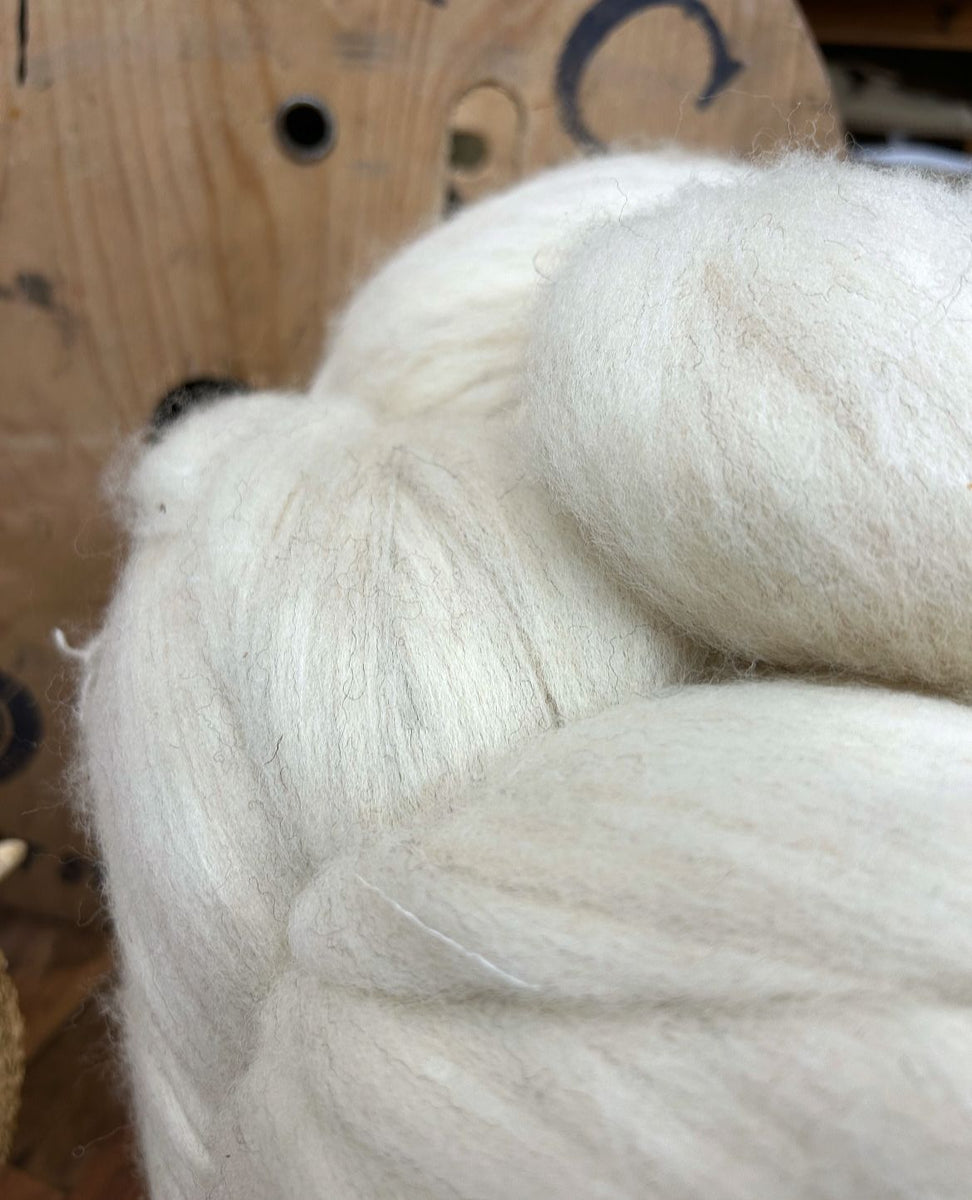 Premium British Wool Top for Carding & Spinning - 100% UK Sheep Wool ...