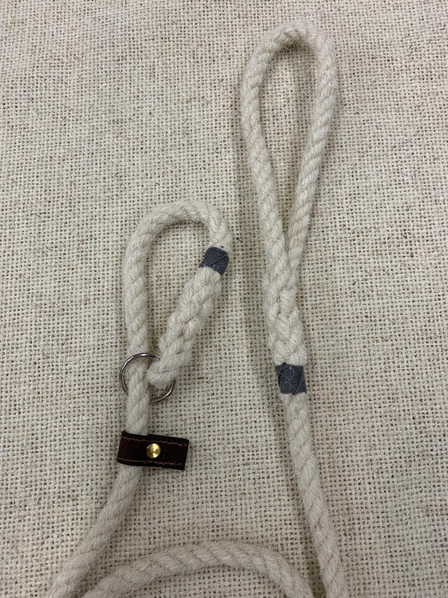 Welsh Slip Dog Lead – Sustainable Rope